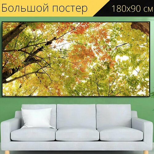 Большой постер "Осень, падение, лист" 180 x 90 см. для интерьера
