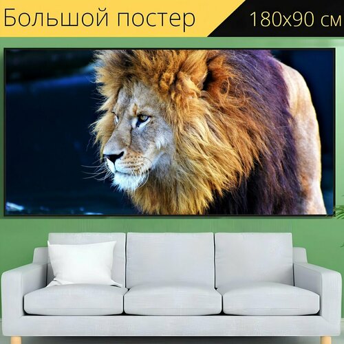 Большой постер "Лев, большой кот, хищник" 180 x 90 см. для интерьера