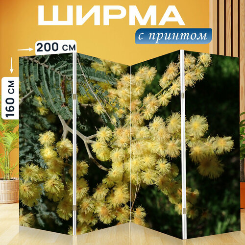 Ширма перегородка с принтом "Плетень, акация, золотой" на холсте - 200x160 см. для зонирования, раскладная