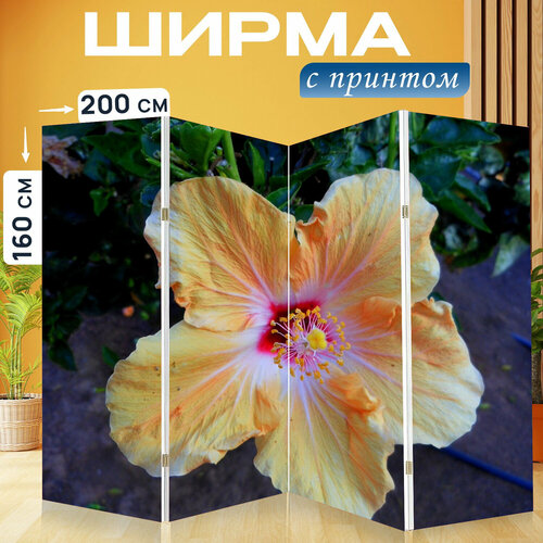 Ширма перегородка с принтом "Цветок, гибискус, тенерифе" на холсте - 200x160 см. для зонирования, раскладная