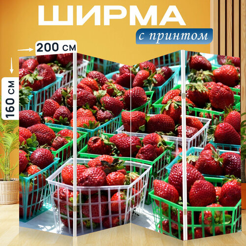 Ширма перегородка с принтом "Рынок, еда, фрукты" на холсте - 200x160 см. для зонирования, раскладная