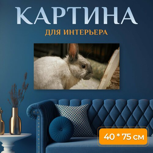 Картина на холсте "Карликовый кролик, цвет карлика, домашнее животное" на подрамнике 75х40 см. для интерьера