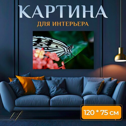 Картина на холсте "Бабочка, цветок, насекомое" на подрамнике 120х75 см. для интерьера