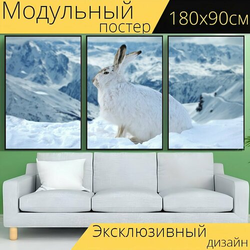 Модульный постер "Кролик, заяц, снег" 180 x 90 см. для интерьера