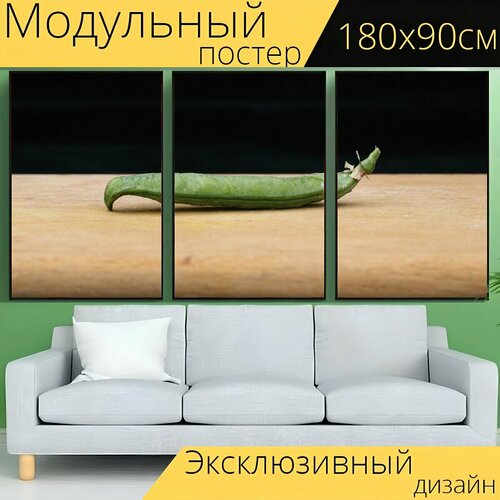 Модульный постер "Еда, горох, стручок" 180 x 90 см. для интерьера