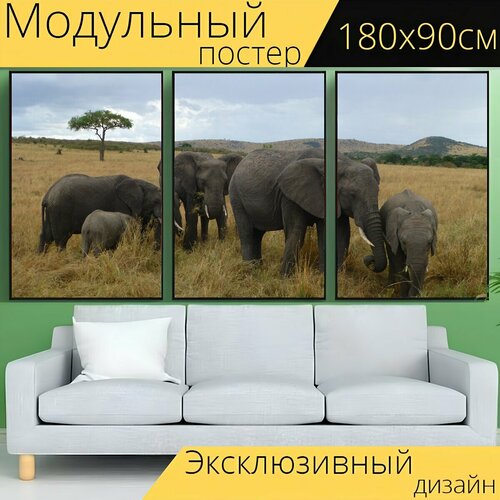 Модульный постер "Слоны, семья, телята" 180 x 90 см. для интерьера