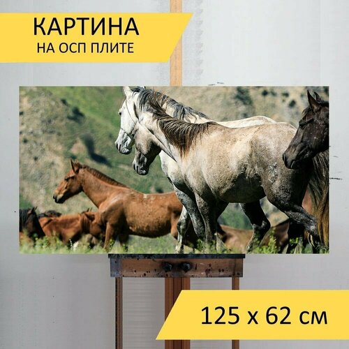 Картина на ОСП 125х62 см. "Лошади, животные, поле" горизонтальная, для интерьера, с креплениями
