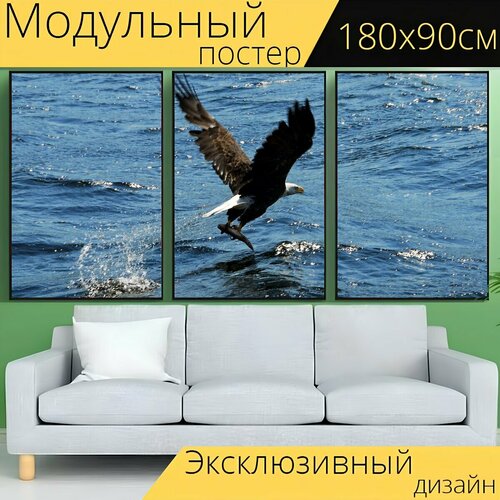 Модульный постер "Орел, рыбы, птица" 180 x 90 см. для интерьера