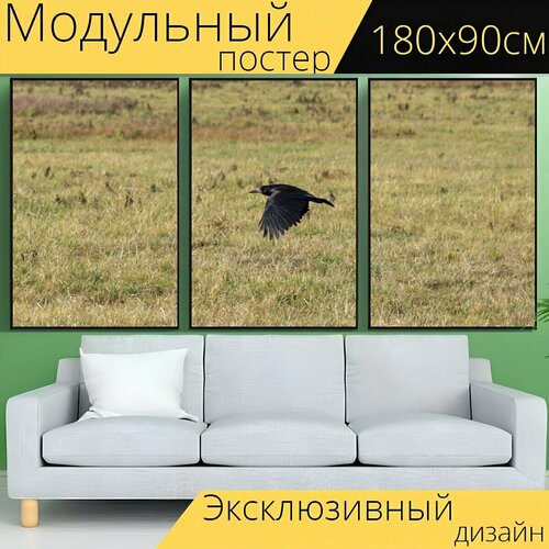 Модульный постер "Ворона, птица, черный" 180 x 90 см. для интерьера