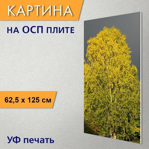 Вертикальная картина на ОСП "Береза, дерево, гроза" 62x125 см. для интерьериа
