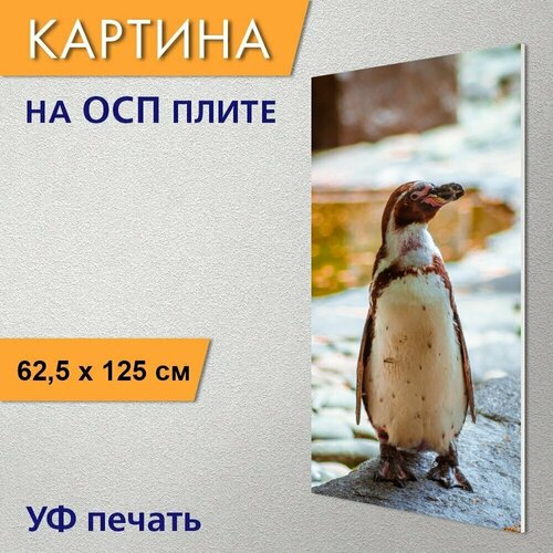 Вертикальная картина на ОСП "Пингвин, хороший, птица" 62x125 см. для интерьериа