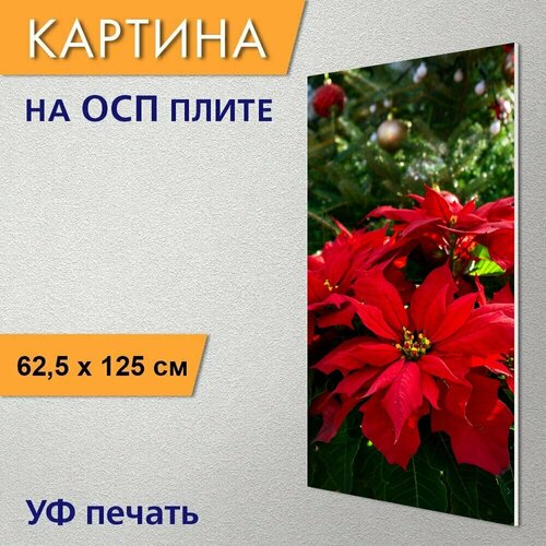 Вертикальная картина на ОСП "Пуансеттия, рождественский цветок, красный цветок" 62x125 см. для интерьериа