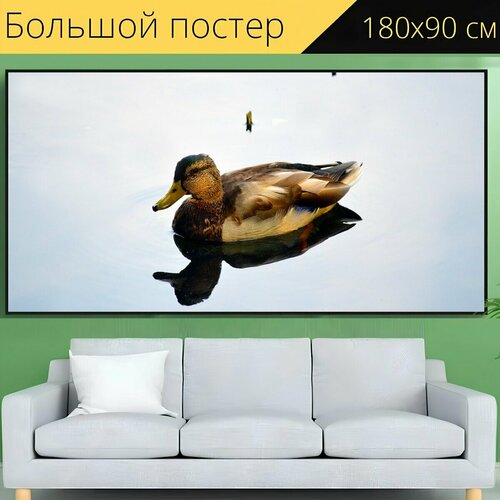 Большой постер "Утка, вода, птица" 180 x 90 см. для интерьера