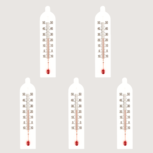 Стеклоприбор Термометр комнатный ТБ-189, 5 шт