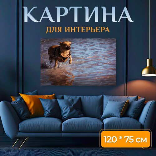 Картина на холсте "Собака, лояльный, млекопитающее" на подрамнике 120х75 см. для интерьера
