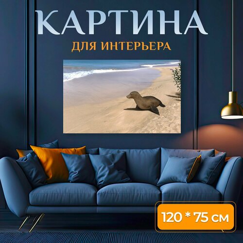 Картина на холсте "Тюлень, море, стоял" на подрамнике 120х75 см. для интерьера