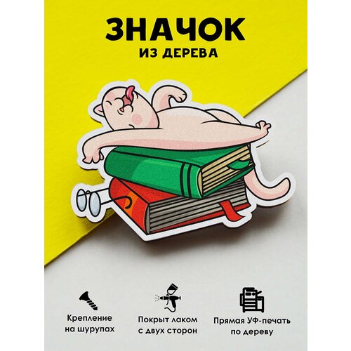 Значок деревянный MR.ZNACHKOFF "Кот на стопке книг"
