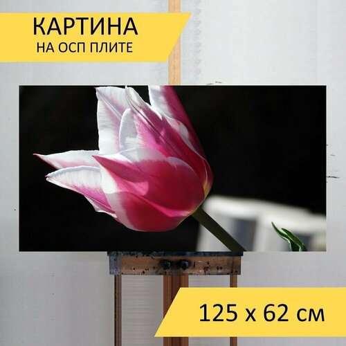 Картина на ОСП 125х62 см. "Тюльпан, цветок, весна" горизонтальная, для интерьера, с креплениями