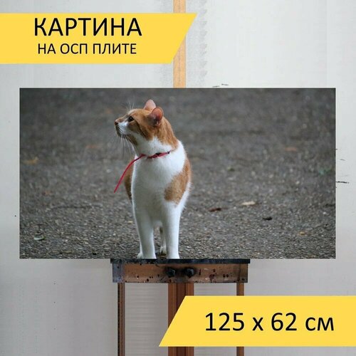 Картина на ОСП 125х62 см. "Кошки, кошачьи, животные" горизонтальная, для интерьера, с креплениями