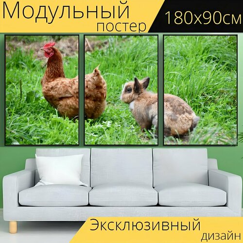 Модульный постер "Курица, кролик, животные" 180 x 90 см. для интерьера