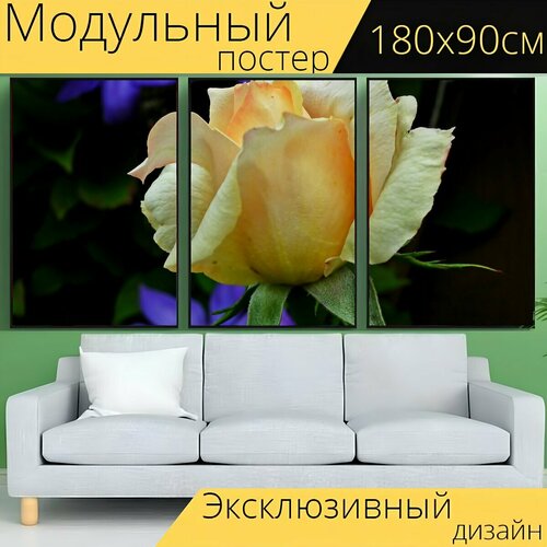 Модульный постер "Роуз, цветок, чай" 180 x 90 см. для интерьера