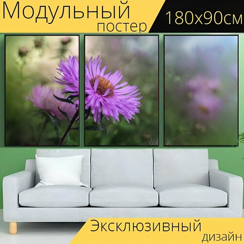 Модульный постер "Астра, цветок, фиолетовый цветок" 180 x 90 см. для интерьера