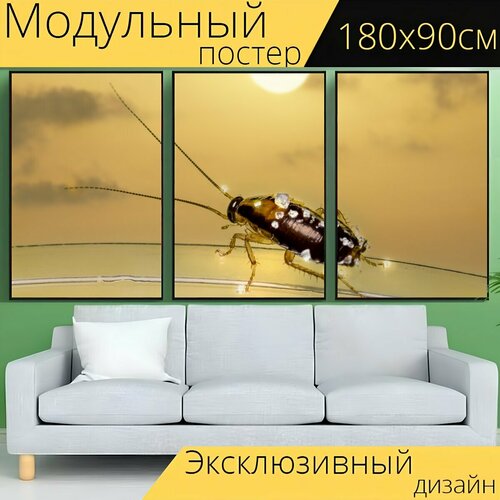 Модульный постер "Таракан, насекомое, животное" 180 x 90 см. для интерьера