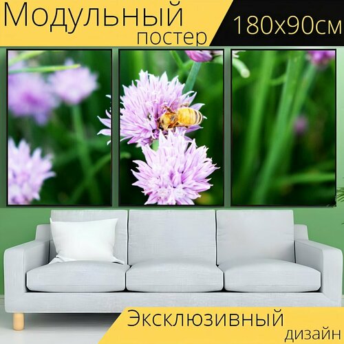 Модульный постер "Пчела, цветок, медовый" 180 x 90 см. для интерьера