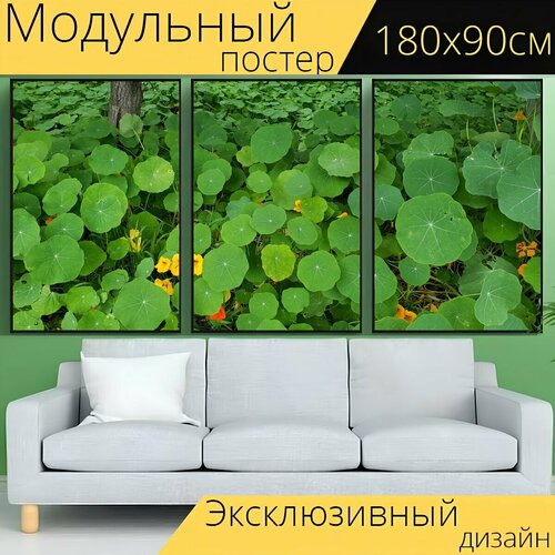 Модульный постер "Природа, листья, зеленый" 180 x 90 см. для интерьера