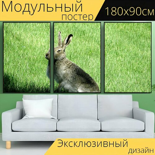 Модульный постер "Кролик, заяц, животное" 180 x 90 см. для интерьера