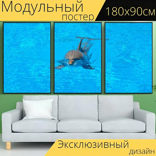 Модульный постер "Дельфин, плавать, вода" 180 x 90 см. для интерьера