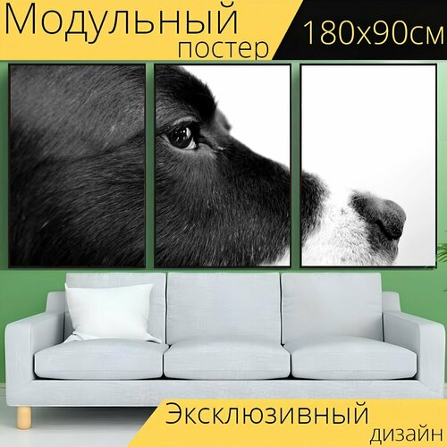 Модульный постер "Собака, фотография, чернить" 180 x 90 см. для интерьера