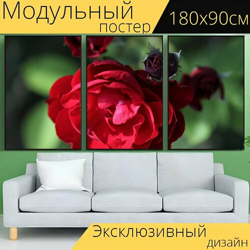 Модульный постер "Красная роза, лили марлен, флорибунда" 180 x 90 см. для интерьера
