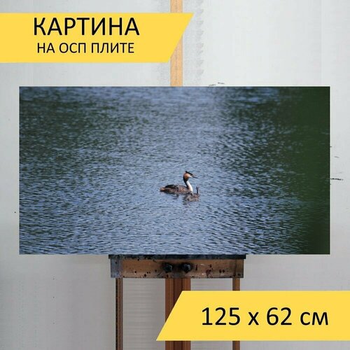 Картина на ОСП 125х62 см. "Чомгу, воды, птица" горизонтальная, для интерьера, с креплениями