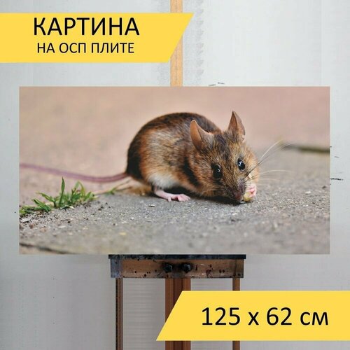 Картина на ОСП 125х62 см. "Домовая мышь, мышь, длиннохвостая мышь" горизонтальная, для интерьера, с креплениями