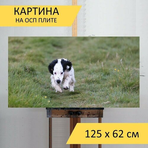 Картина на ОСП 125х62 см. "Щенок, собака, сельская местность" горизонтальная, для интерьера, с креплениями