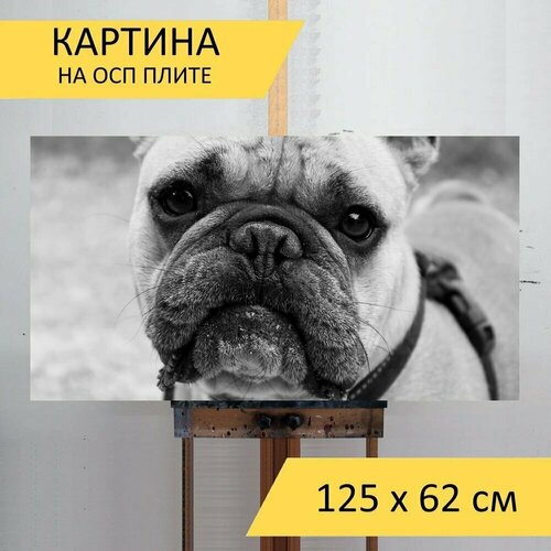 Картина на ОСП 125х62 см. "Собака, бульдог, животное" горизонтальная, для интерьера, с креплениями
