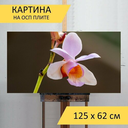 Картина на ОСП 125х62 см. "Цветок орхидеи, зеленый, лист" горизонтальная, для интерьера, с креплениями