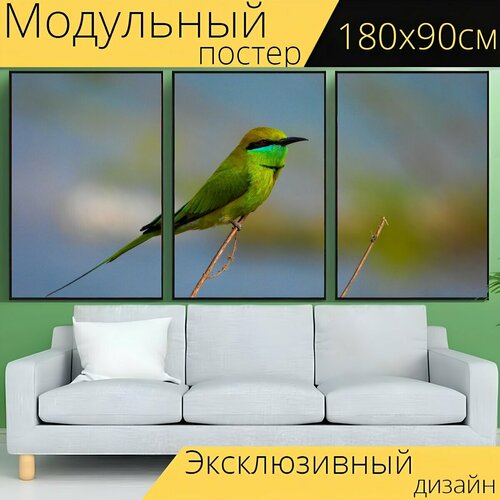 Модульный постер "Золотистая щурка, птица, маленькая птица" 180 x 90 см. для интерьера