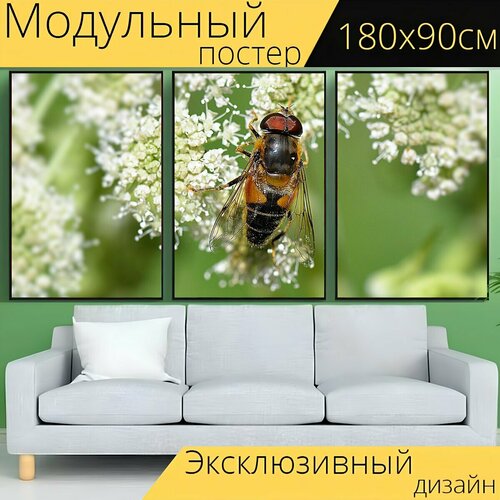 Модульный постер "Слизняк, насекомое, грязевая пчела" 180 x 90 см. для интерьера