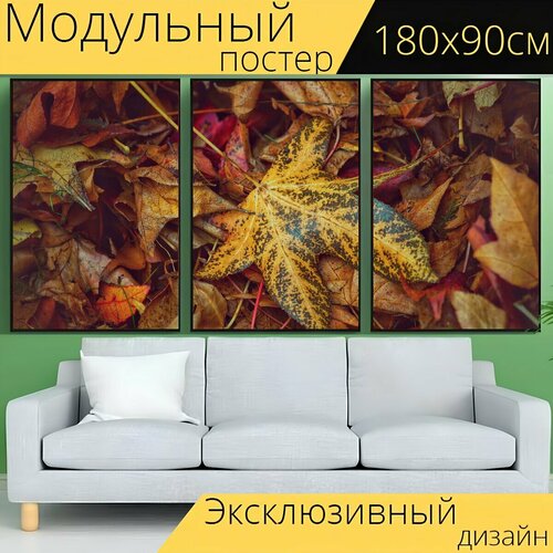 Модульный постер "Кленовый лист, осенние листья, листья" 180 x 90 см. для интерьера