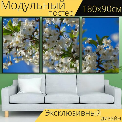 Модульный постер "Цветение вишни, весна, цветение" 180 x 90 см. для интерьера