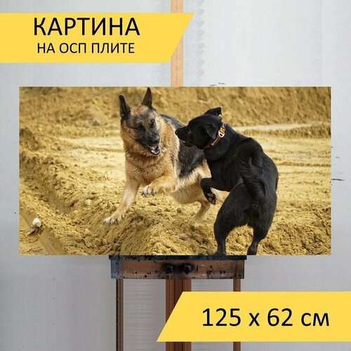 Картина на ОСП 125х62 см. "Немецкая овчарка, собаки, играющий" горизонтальная, для интерьера, с креплениями