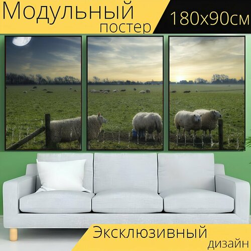 Модульный постер "Пастбище, овец, природа" 180 x 90 см. для интерьера
