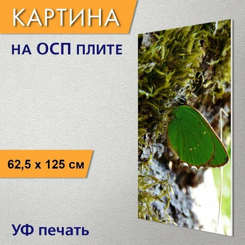 Вертикальная картина на ОСП "Бабочка, зеленая бабочка, новобранец" 62x125 см. для интерьериа