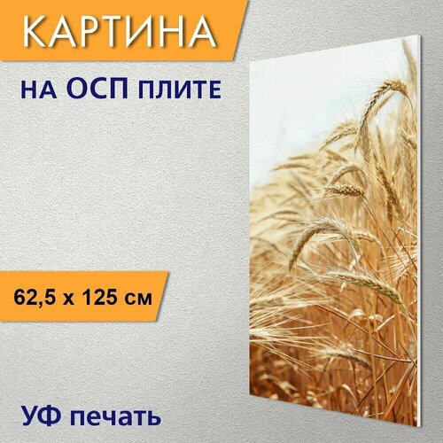 Вертикальная картина на ОСП "Пшеница, сельское хозяйство, фермер" 62x125 см. для интерьериа