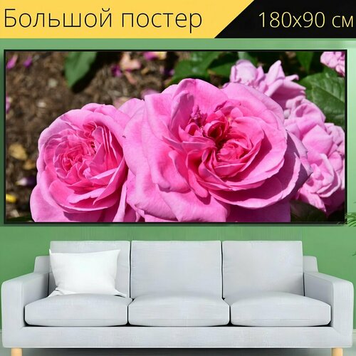 Большой постер "Розовая роза, природа, красота" 180 x 90 см. для интерьера