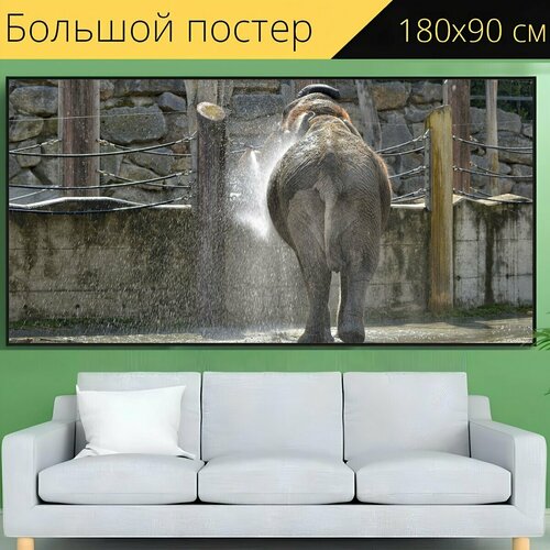 Большой постер "Слон, зоопарк, красивый колодец" 180 x 90 см. для интерьера