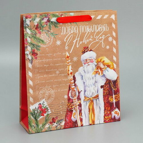 Пакет крафтовый вертикальный "Почта Деда Мороза", M 26 x 30 x 9 см
