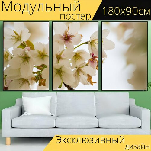 Модульный постер "Вишневое дерево, цветы, весна" 180 x 90 см. для интерьера